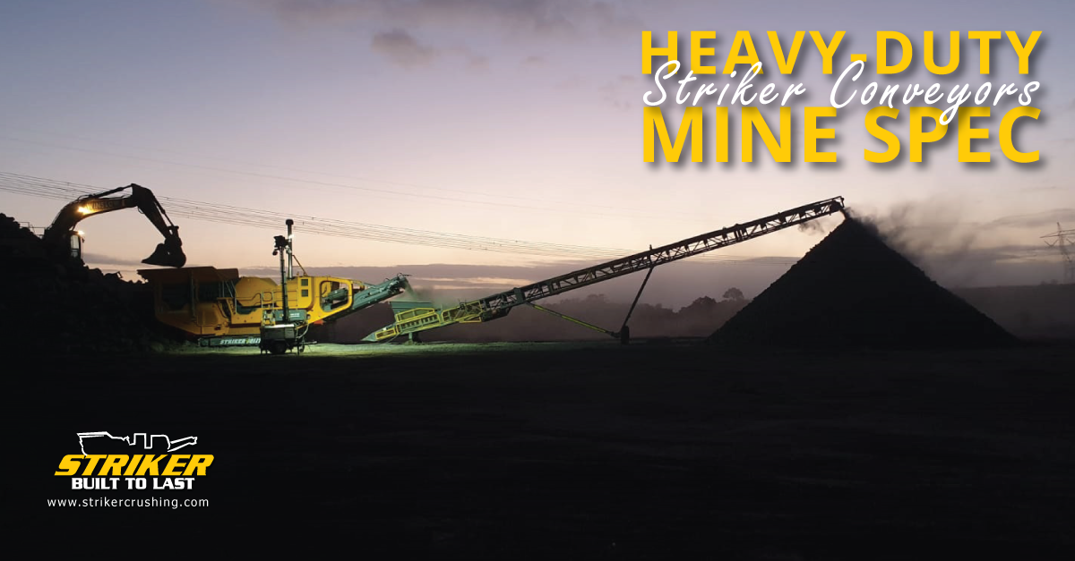 Looking for more then a light weight conveyor?